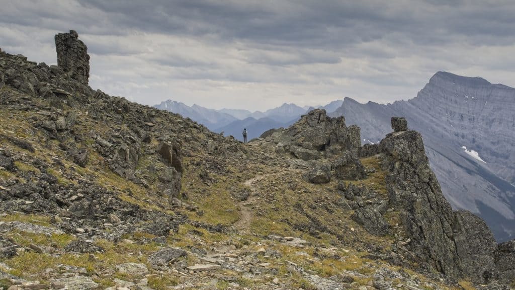 Centennial Ridge to Mount Allan - Out & About with the GeoKs